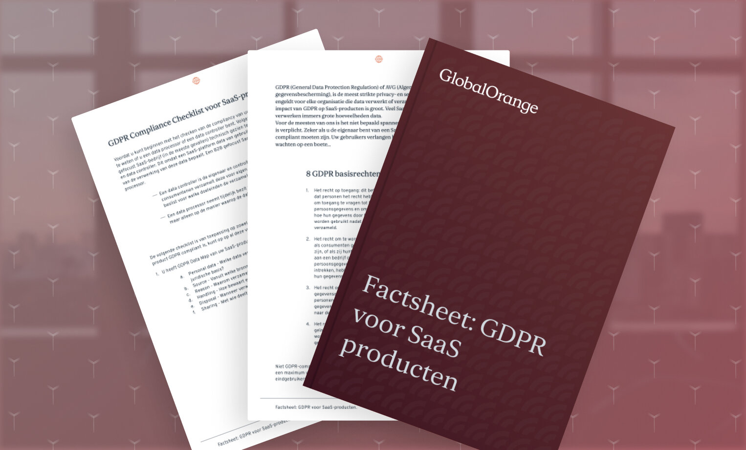 GDPR Checklist voor SaaS-producten