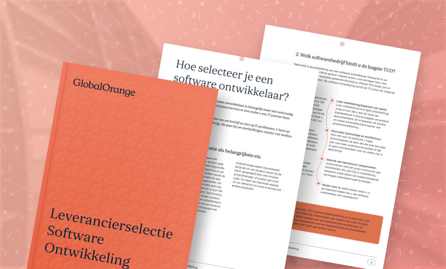 Leveranciersselectie softwareontwikkeling - GlobalOrange